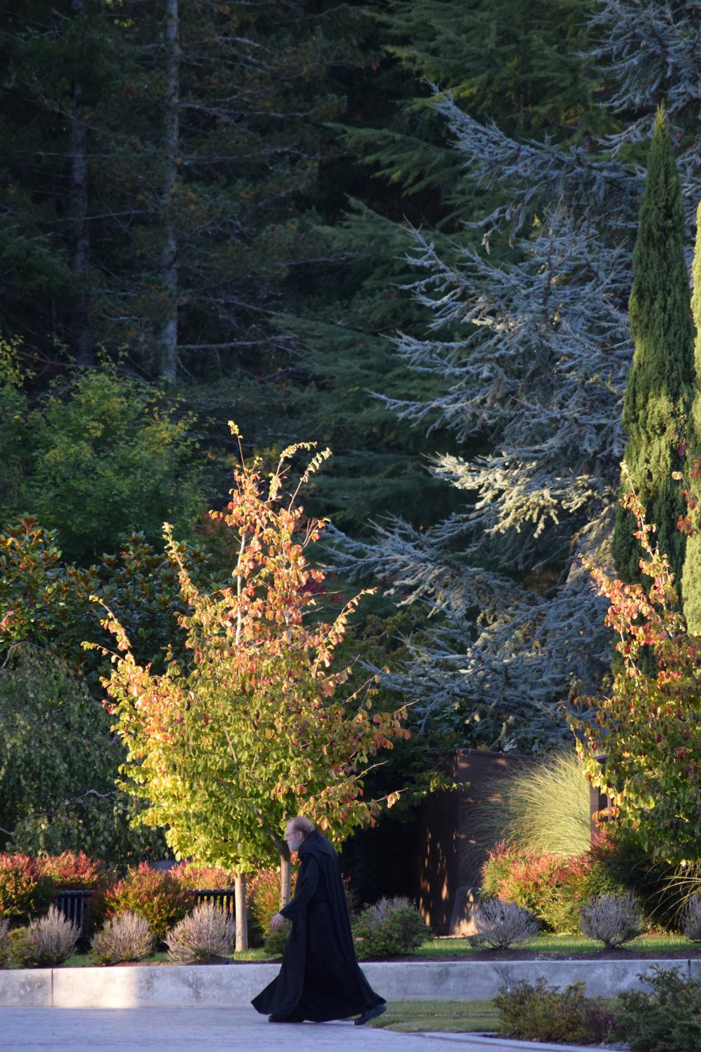 monk-life – Saint Martin's Abbey